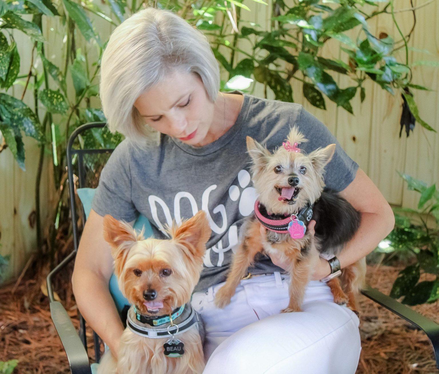 Consider Fostering – Compact Canine Rescue