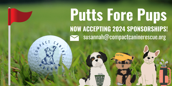 Compact Canine Rescue – Rescue. Rehome. Rejoice.