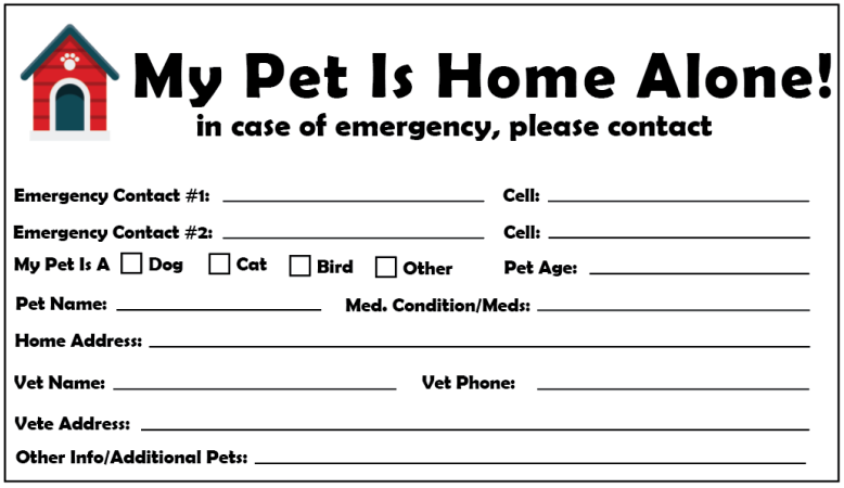 Emergency Planning For Your Pet – Compact Canine Rescue